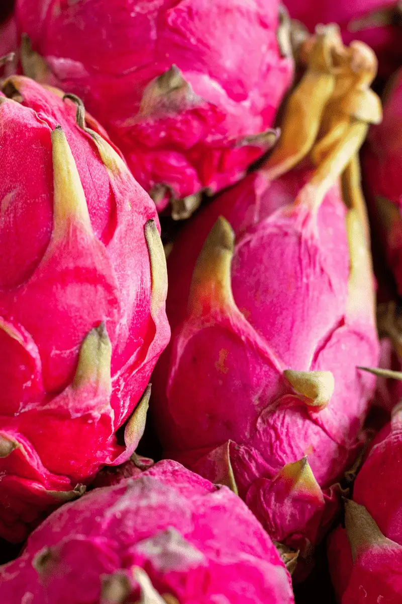 How to Store Dragon Fruit - Savory Suitcase