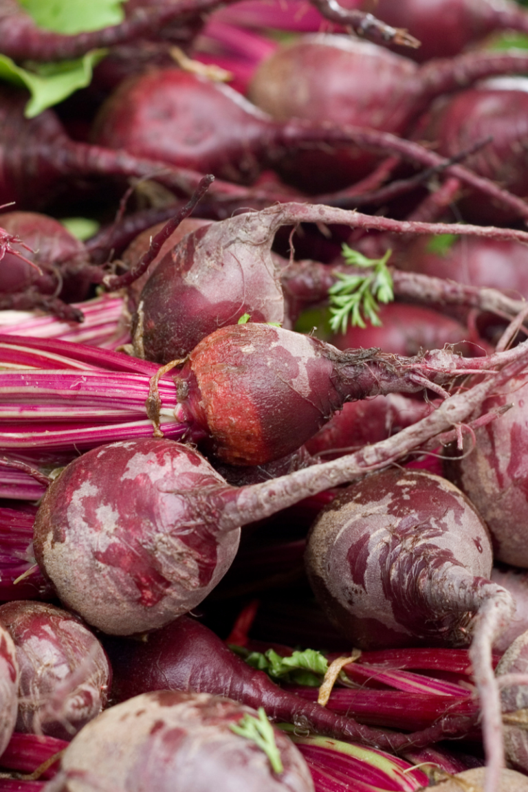How To Store Beetroot - Savory Suitcase