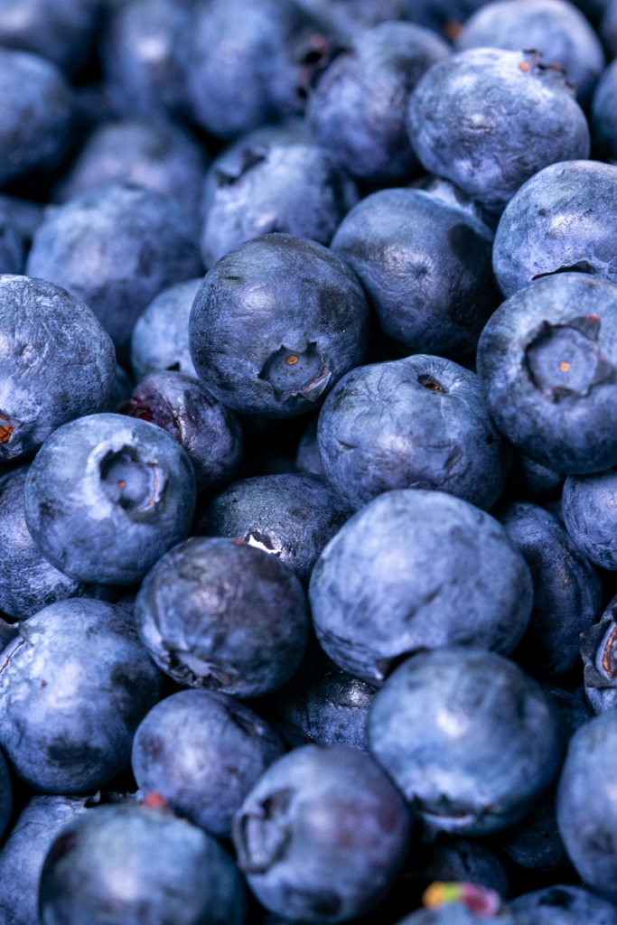 How To Store Blueberries - Savory Suitcase
