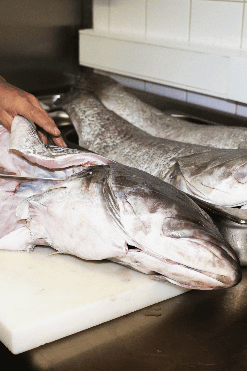 What is Corvina? - Savory Suitcase