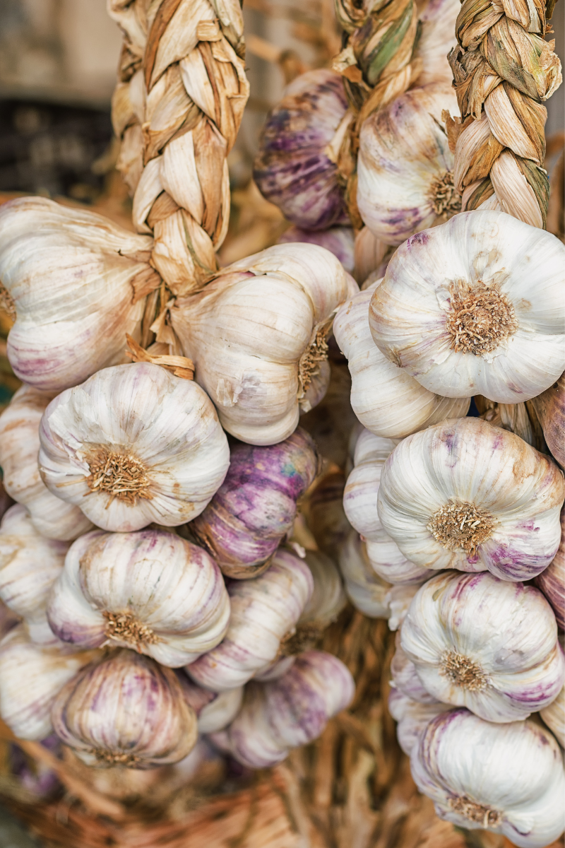 How to Store Garlic