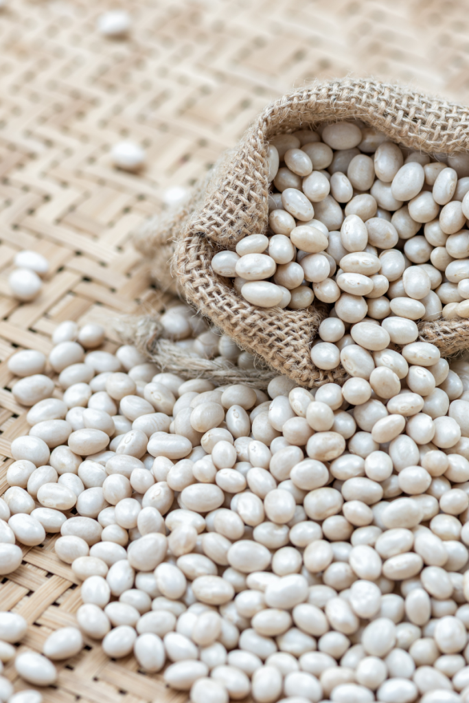 How To Store Navy Beans - Savory Suitcase