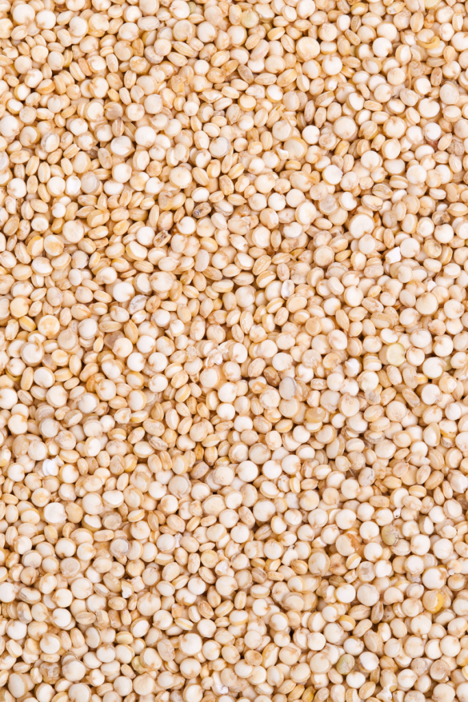 How To Store Quinoa - Savory Suitcase