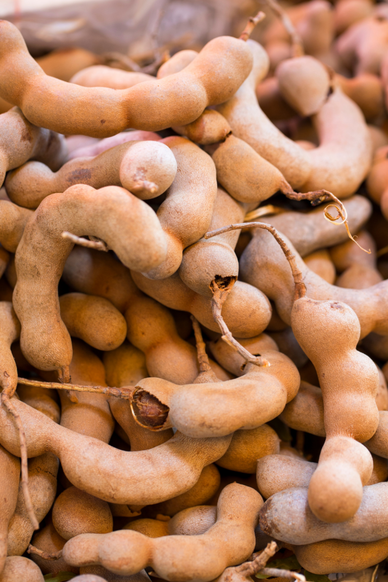 How to Store Tamarind - Savory Suitcase