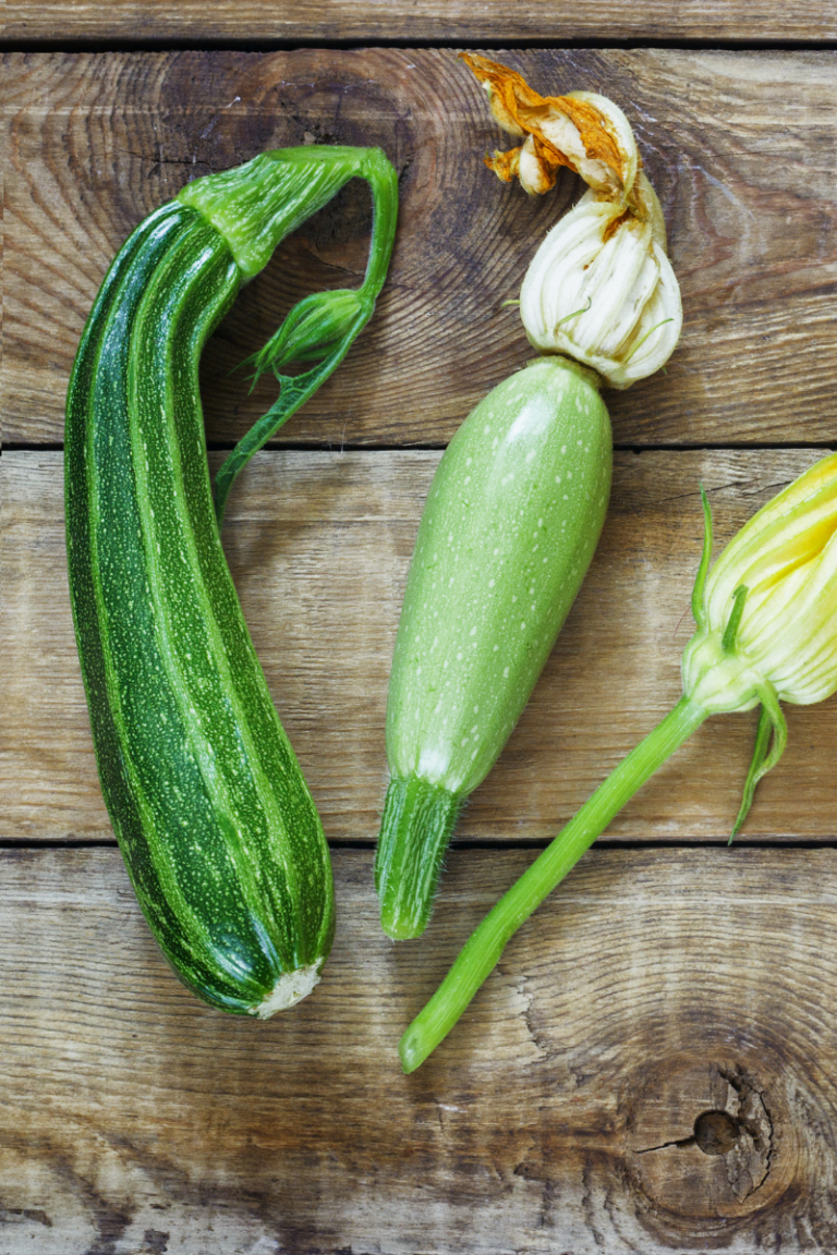 How to Store Zucchini - Savory Suitcase