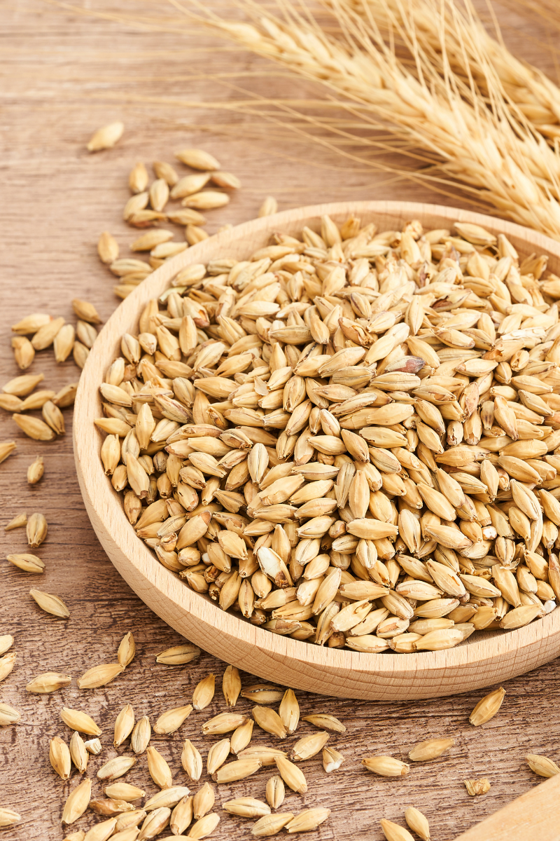 How to Store Barley - Savory Suitcase