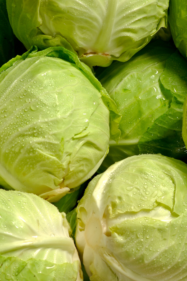 How To Store Cabbage - Savory Suitcase