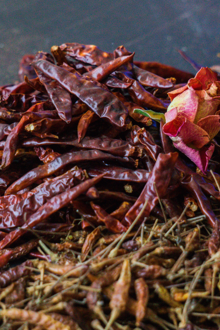 Storing Dried Peppers: A Comprehensive Guide - Savory Suitcase