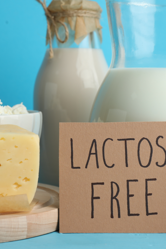 What Is Lactose Free Cheese? - Savory Suitcase
