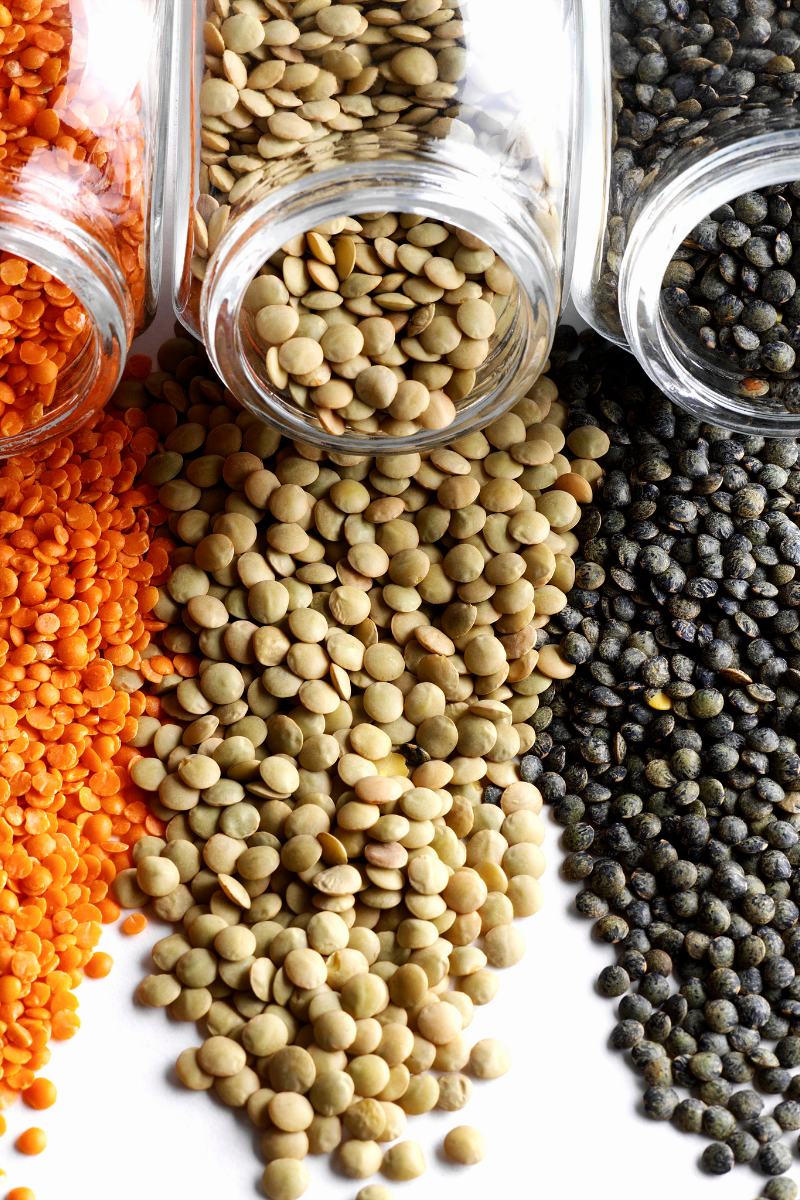 How to Store Lentils - Savory Suitcase