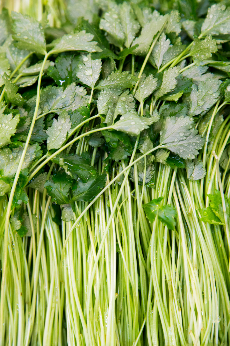 What Is Mitsuba? - Savory Suitcase