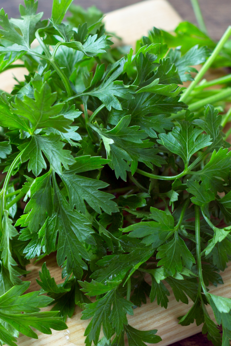 How to Store Parsley - Savory Suitcase