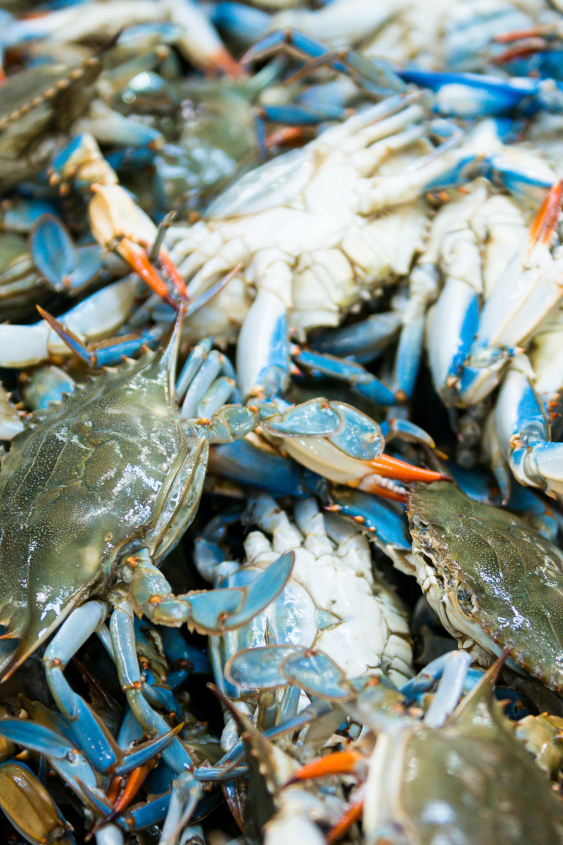 What Is A She-Crab? - Savory Suitcase